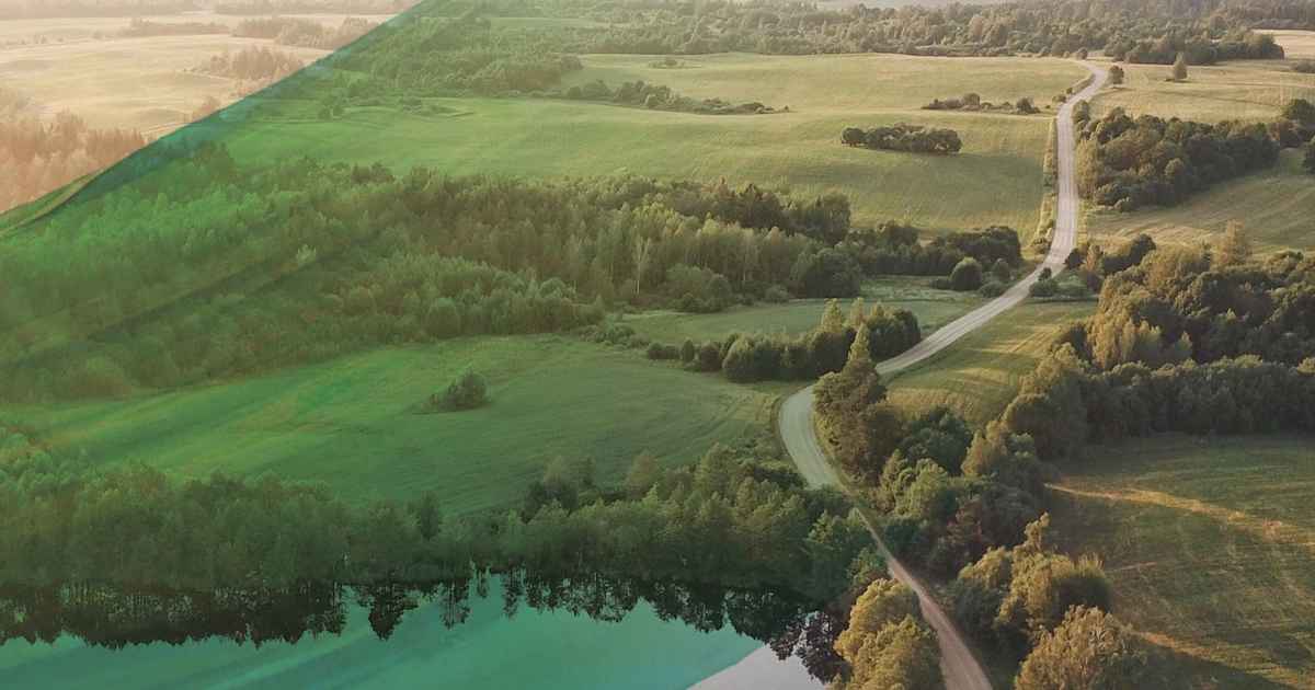 The prospects of using AI in euthanasia and physician-assisted suicide ...